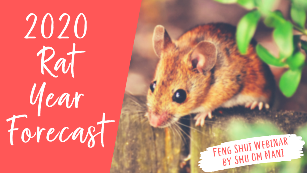 2020 Astrology Forecast: Rat Year Feng Shui and Energy Webinar